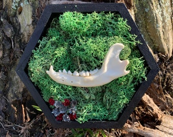 Moss Shadow Box - Etsy