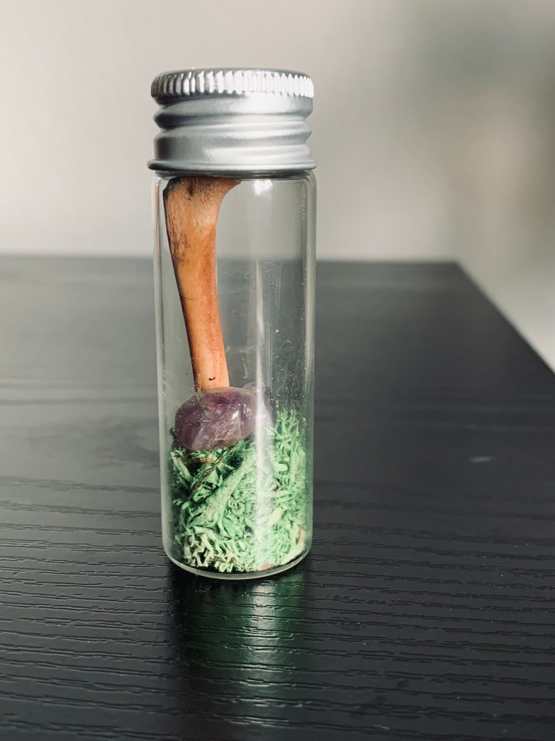 Squirrel Femur Curiosity Jar Mini Terrarium Collection - Etsy