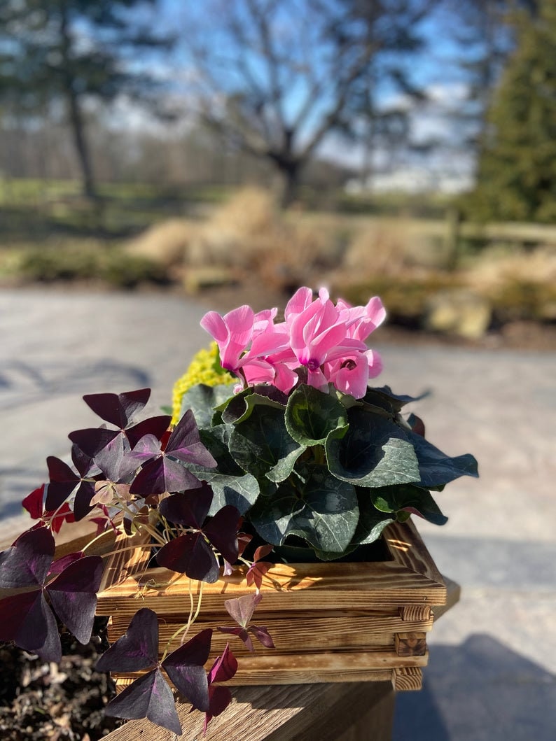 Amish Wooden Flower Box - Etsy