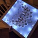 Angel Wing/rose Shadow Box With Lights - Etsy