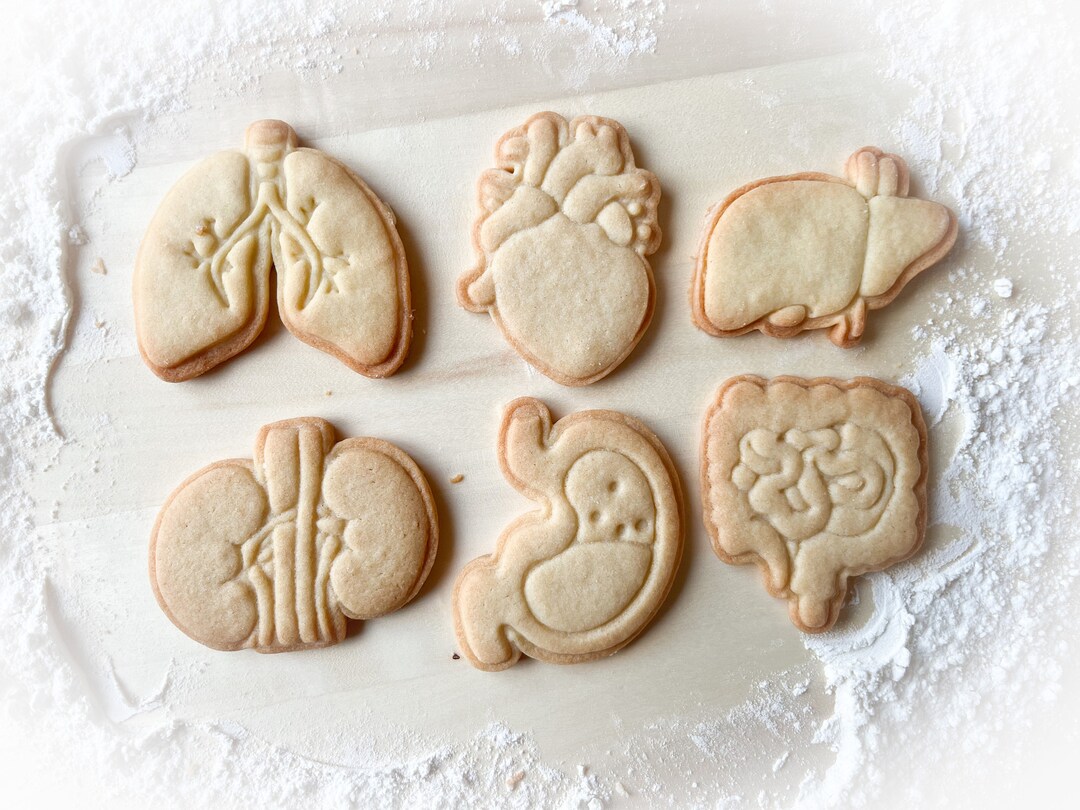 866 Human Organs FULL SET, Intestines, Stomach, Liver, Lungs ...