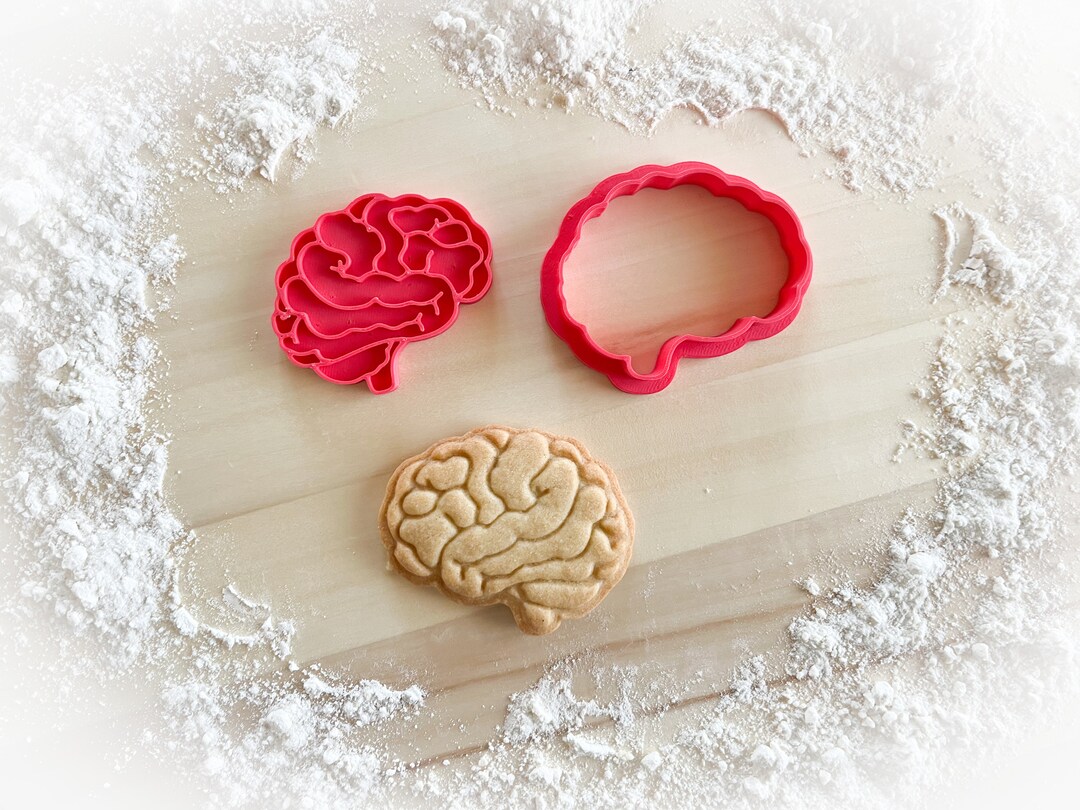717 Human Brain Cookie Cutter and Stamp Multi-size - Etsy