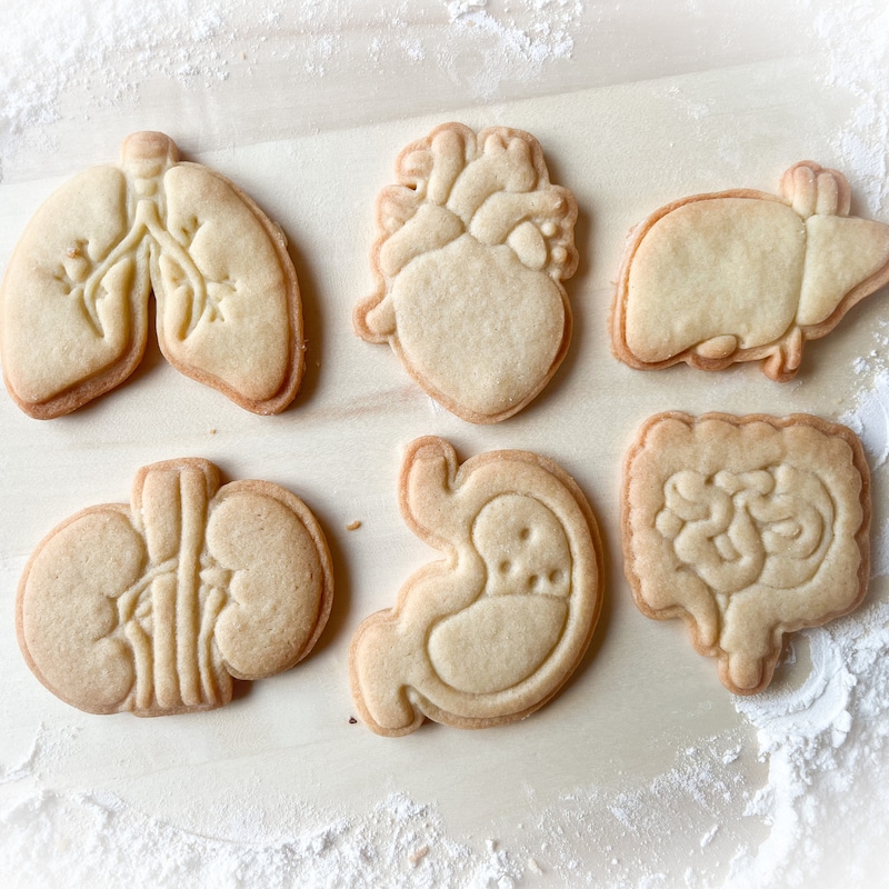 Medical Cookie Cutter - Etsy