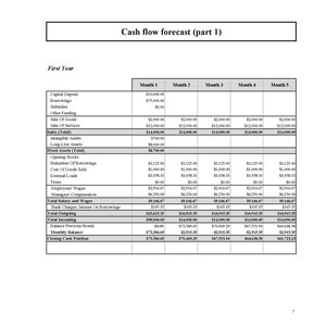 3-year Financial Business Plan Template - Etsy