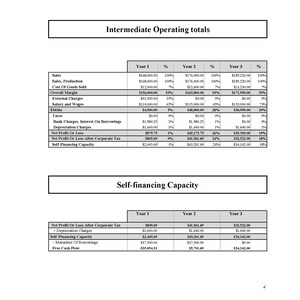 3-year Financial Business Plan Template - Etsy