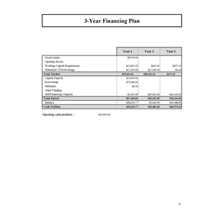 3-year Financial Business Plan Template - Etsy