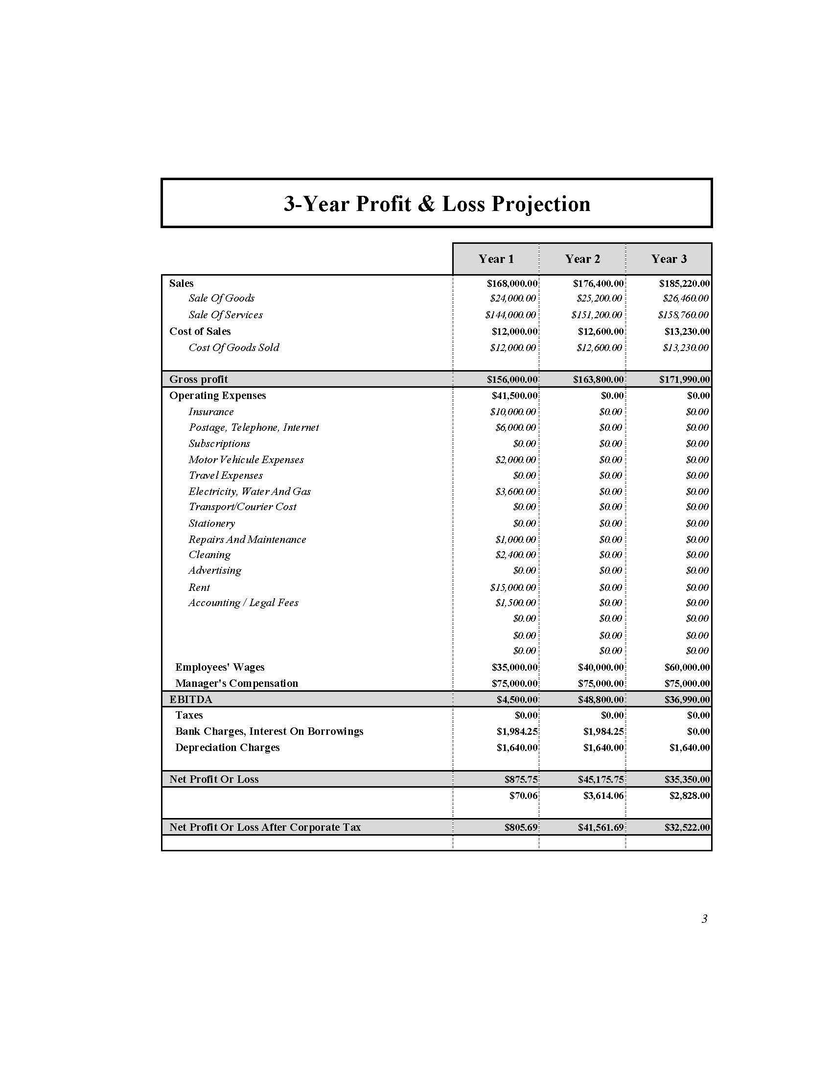3-year Financial Business Plan Template - Etsy