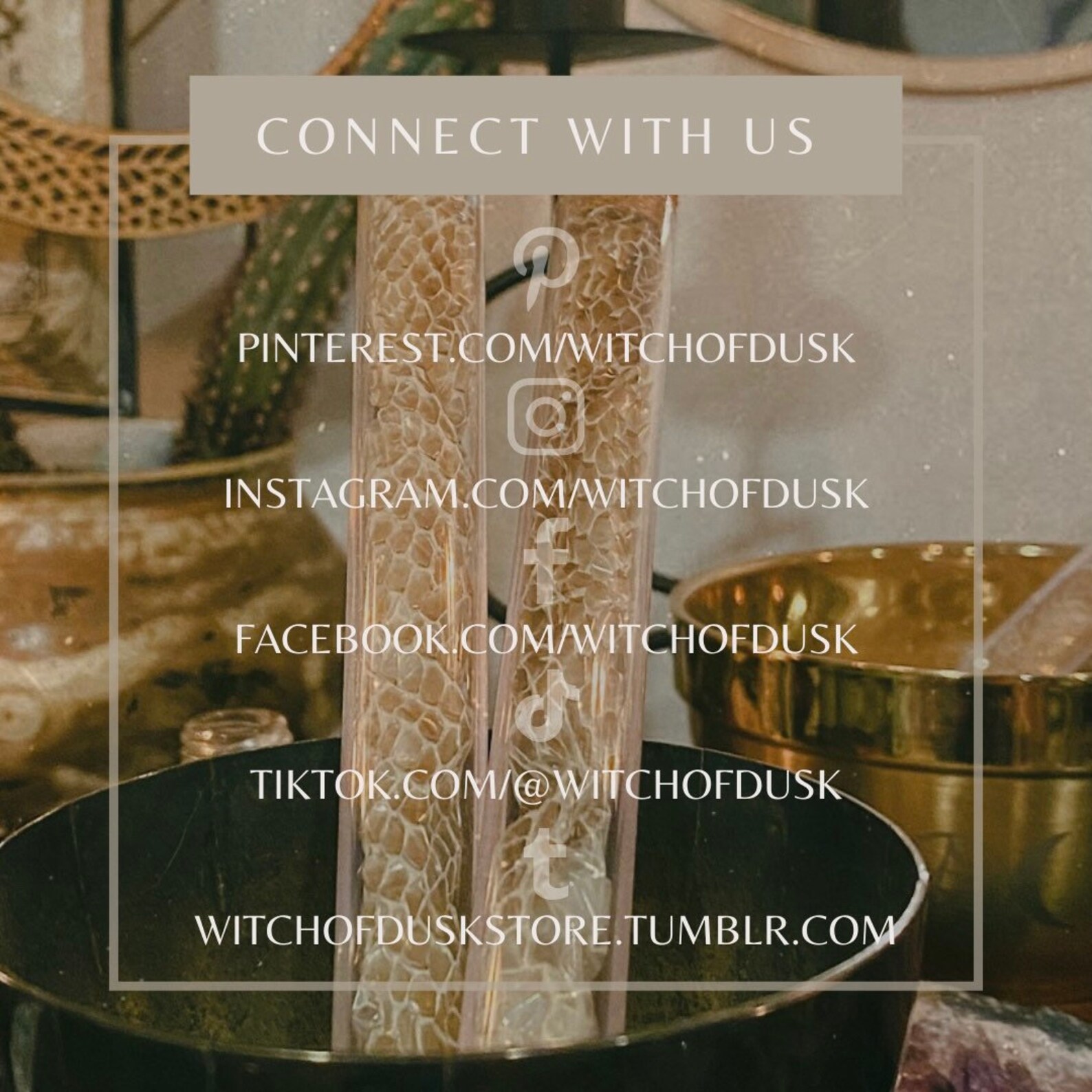 Alternative Spiked Bat Eco High-waisted Bikini Witch Bathing - Etsy