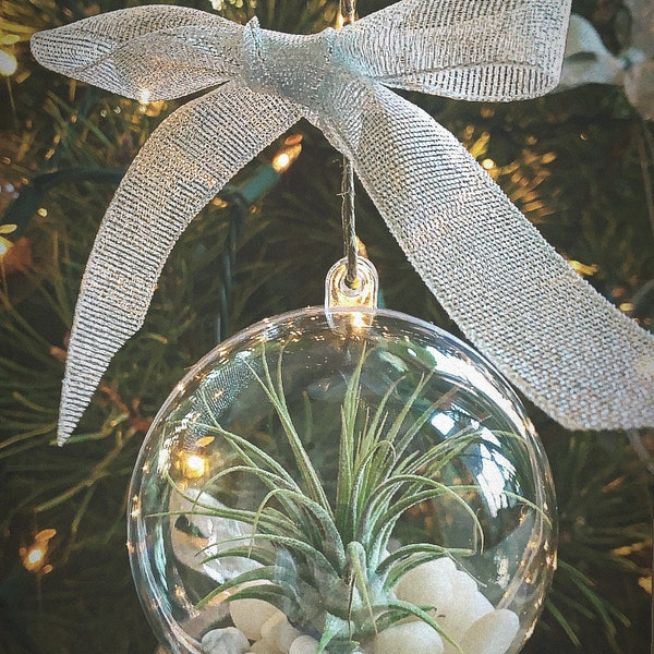 Air Plant Christmas Ornament - Etsy