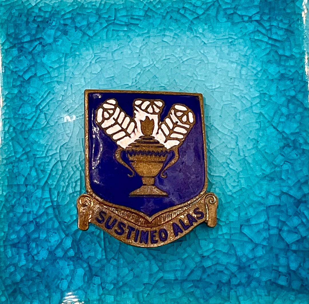 WWII US Air Force Technical Training Command Insignia Pin - Etsy