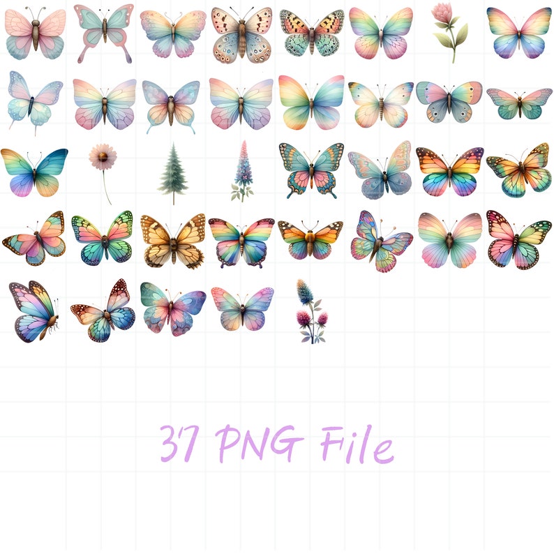 Watercolor Butterfly Clipart: Rainbow PNG Files, Commercial Use ...