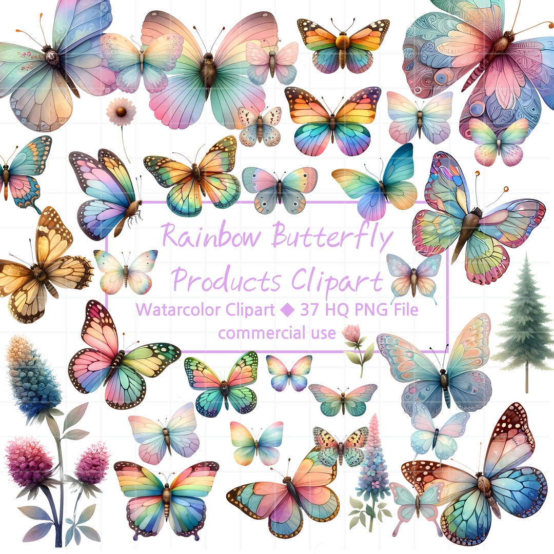 Watercolor Butterfly Clipart: Rainbow PNG Files, Commercial Use ...