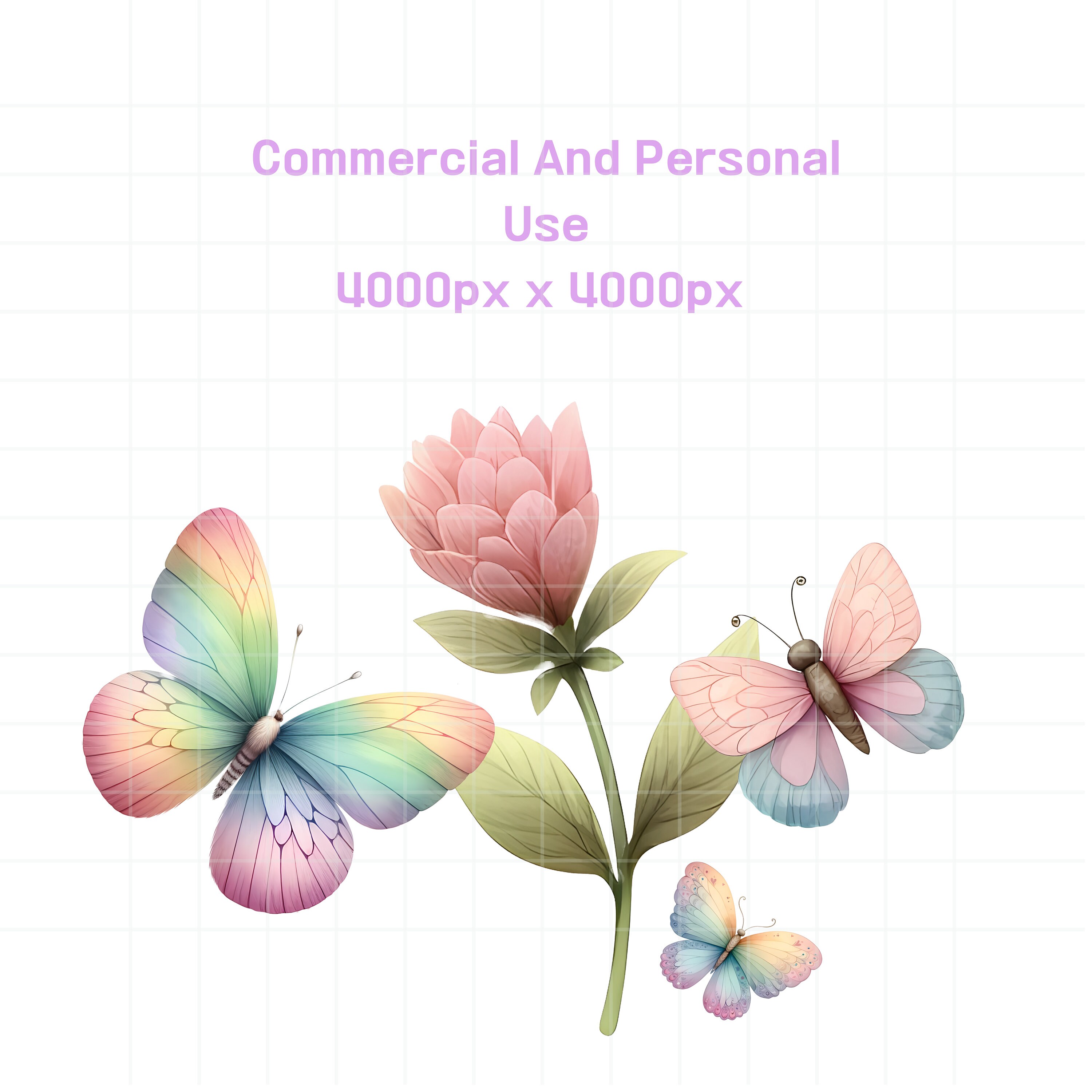 Watercolor Butterfly Clipart: Rainbow PNG Files, Commercial Use ...