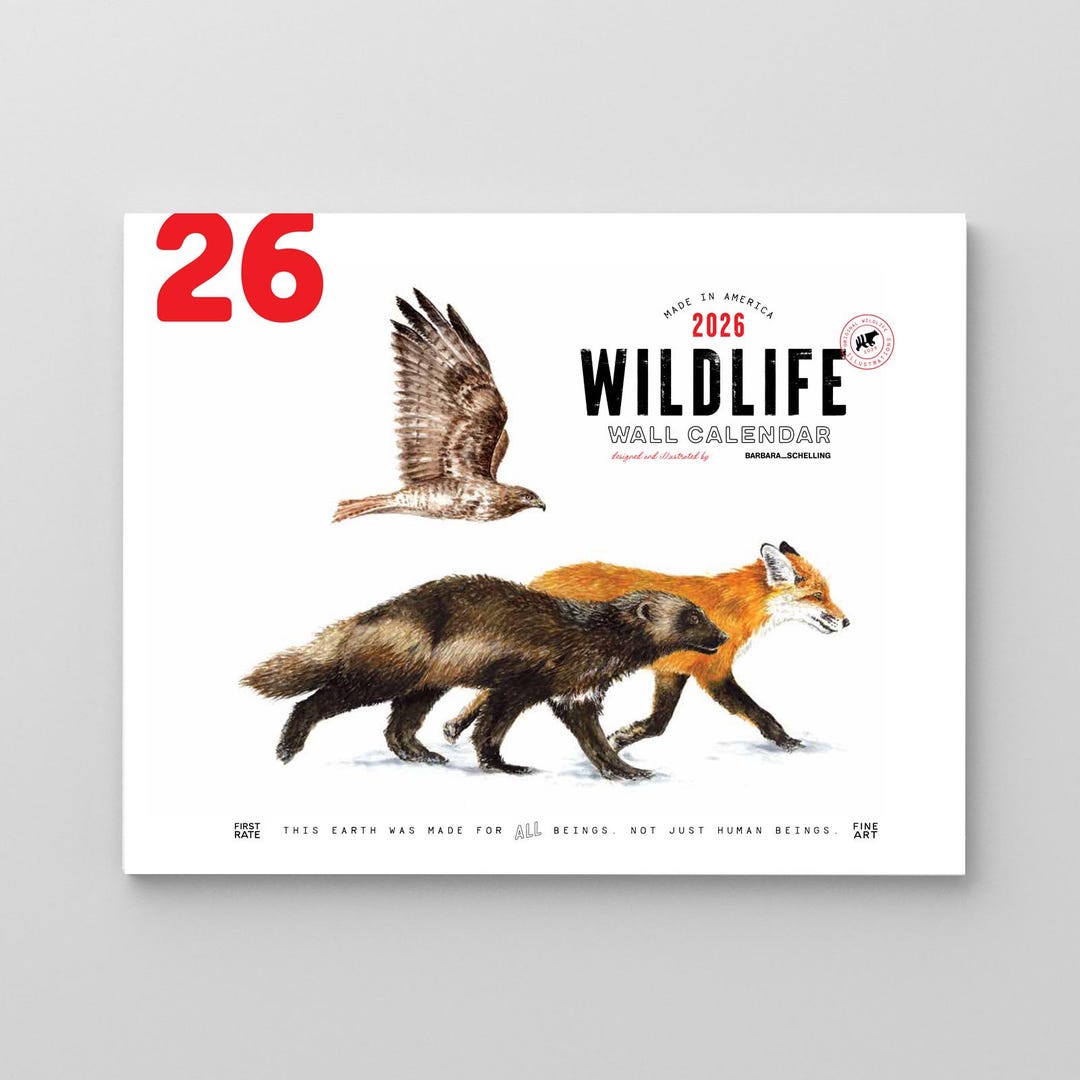 2026 Wildlife Calendar - Etsy