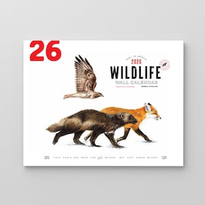 2026 Wildlife Calendar - Etsy