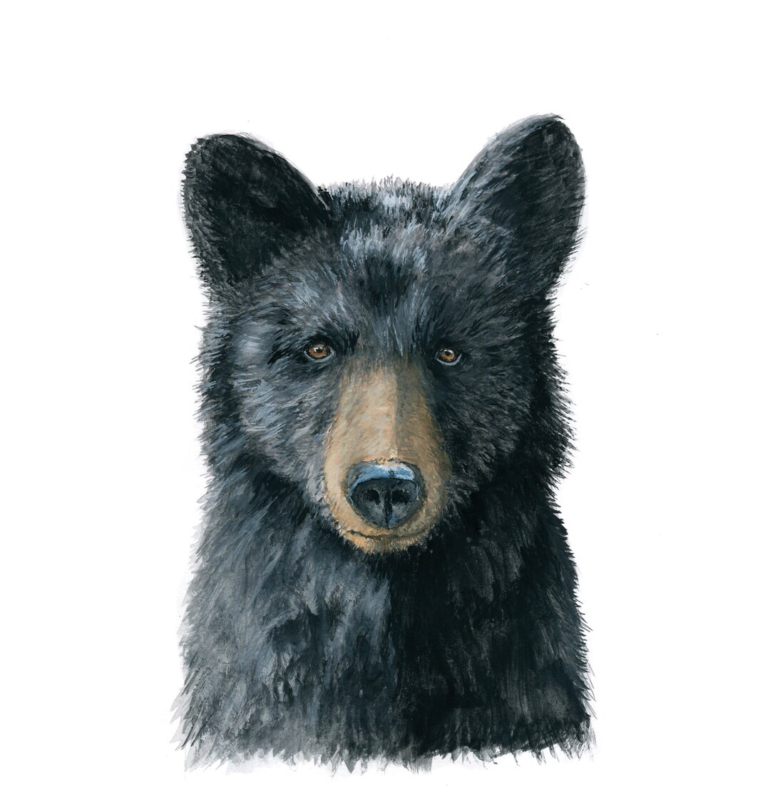 Black Bear | Signed | 8 X 10 or 11 X 14 Print - Etsy
