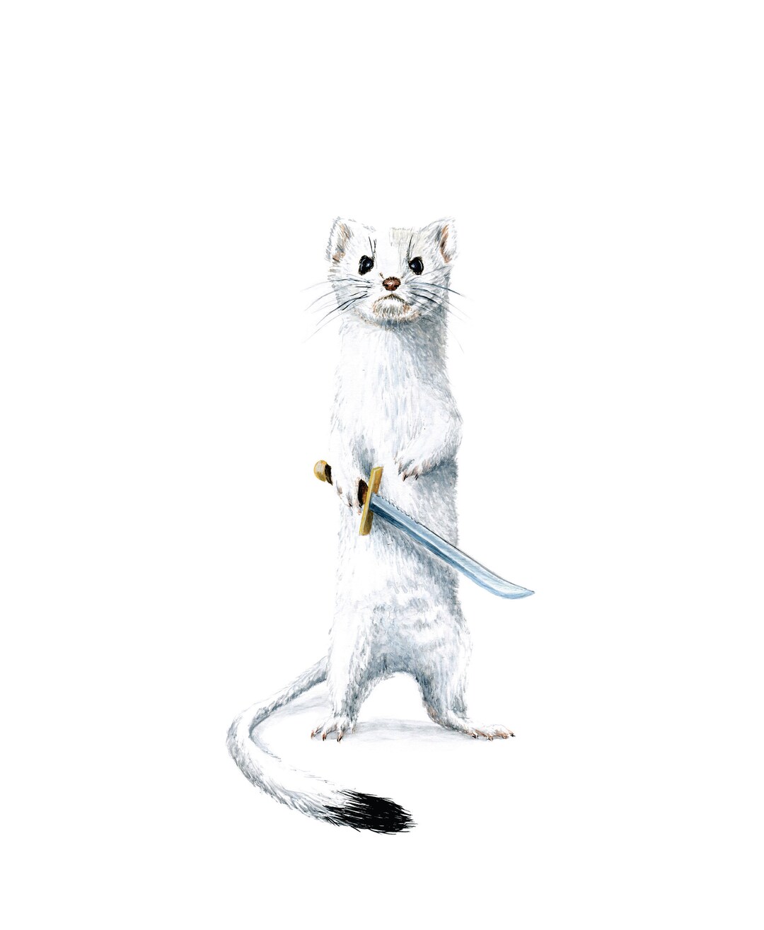 Ermine | Signed | 8 X 10 or 11 X 14 Print - Etsy