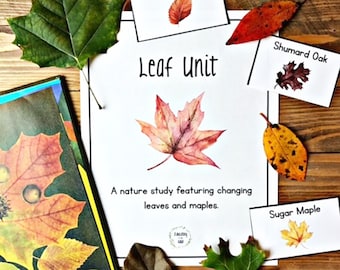 Leaf Unit Study Worksheets and Activities With 36 Mini Leaf ...
