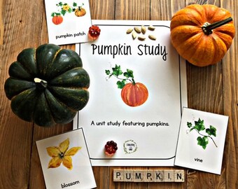 Pumpkin Unit Study Pumpkin Life Cycle Pumpkin Anatomy Montessori ...