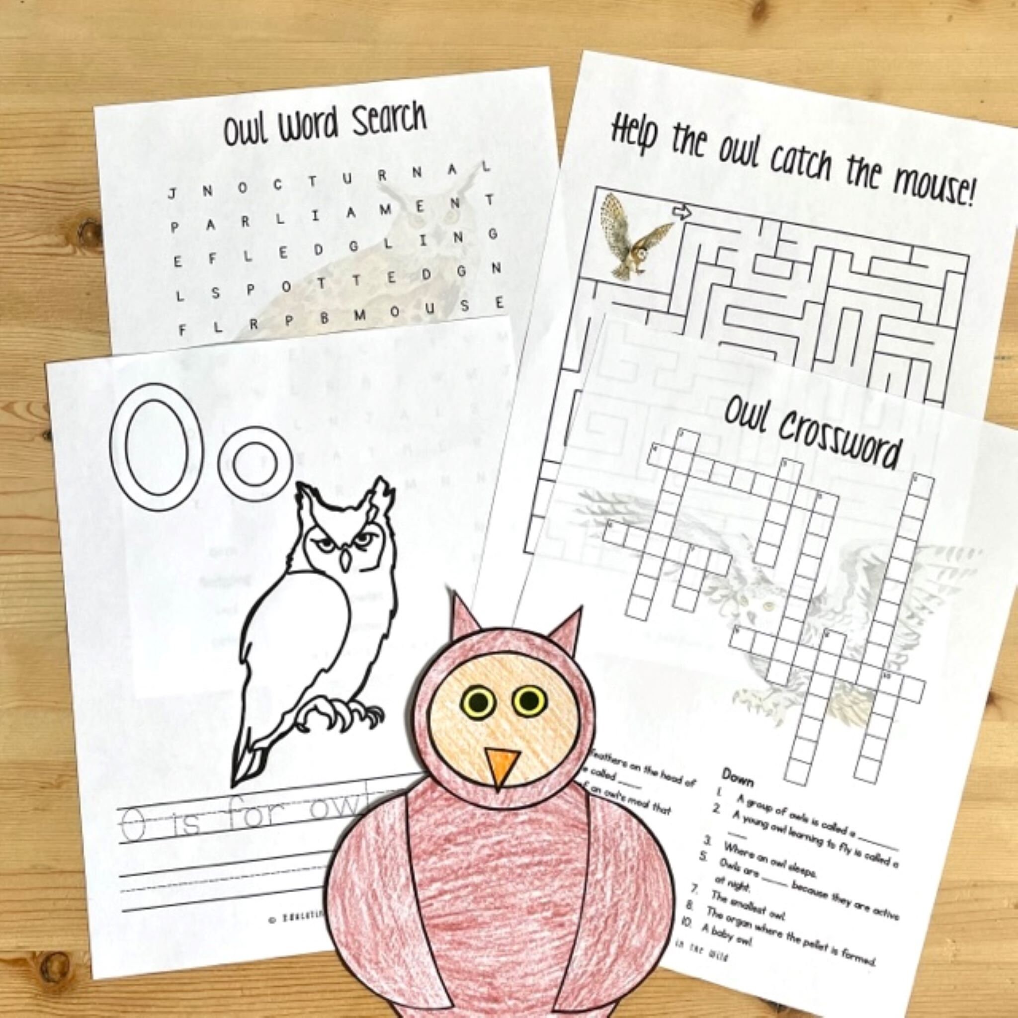 Owl Unit Study - Etsy