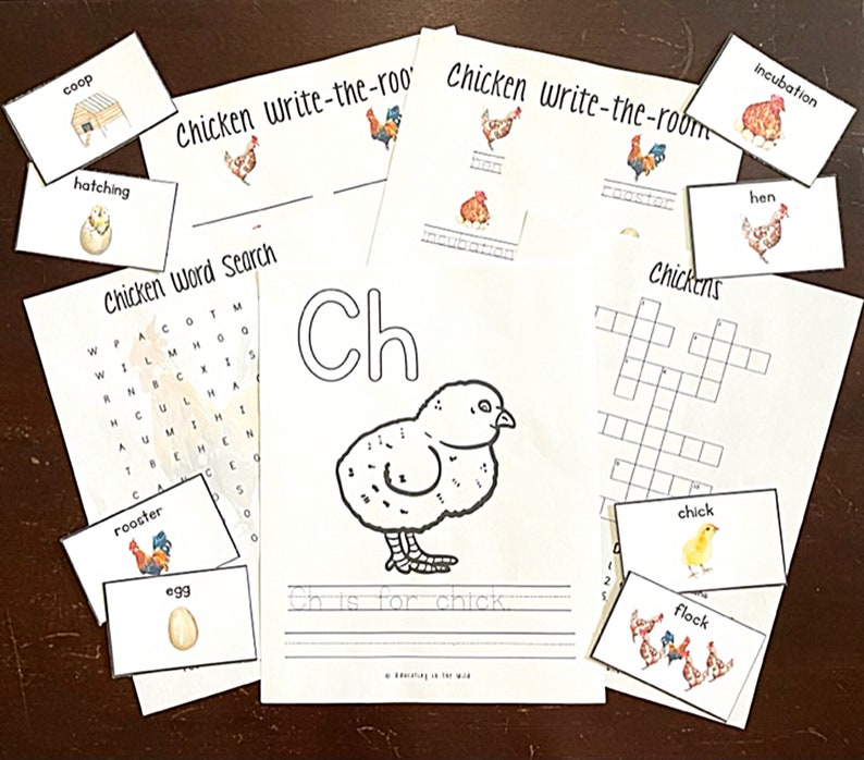 Chicken Unit Study - Etsy