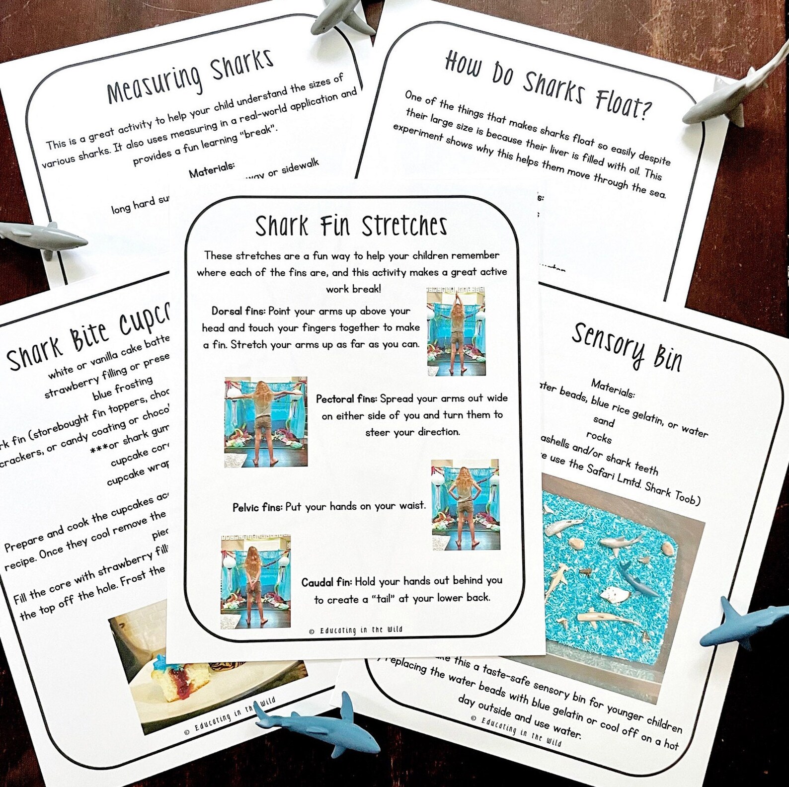 Shark Unit Study - Etsy