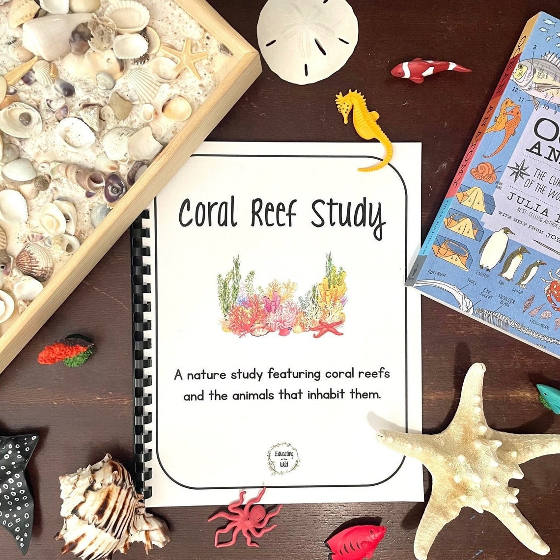 Coral Reef Unit Study - Etsy