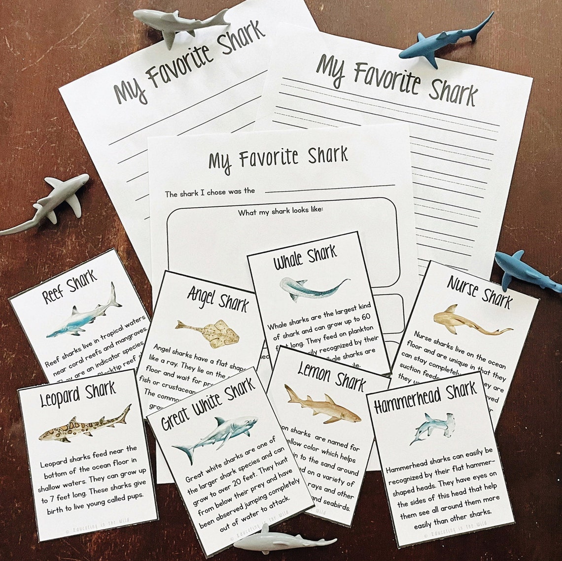 Shark Unit Study - Etsy