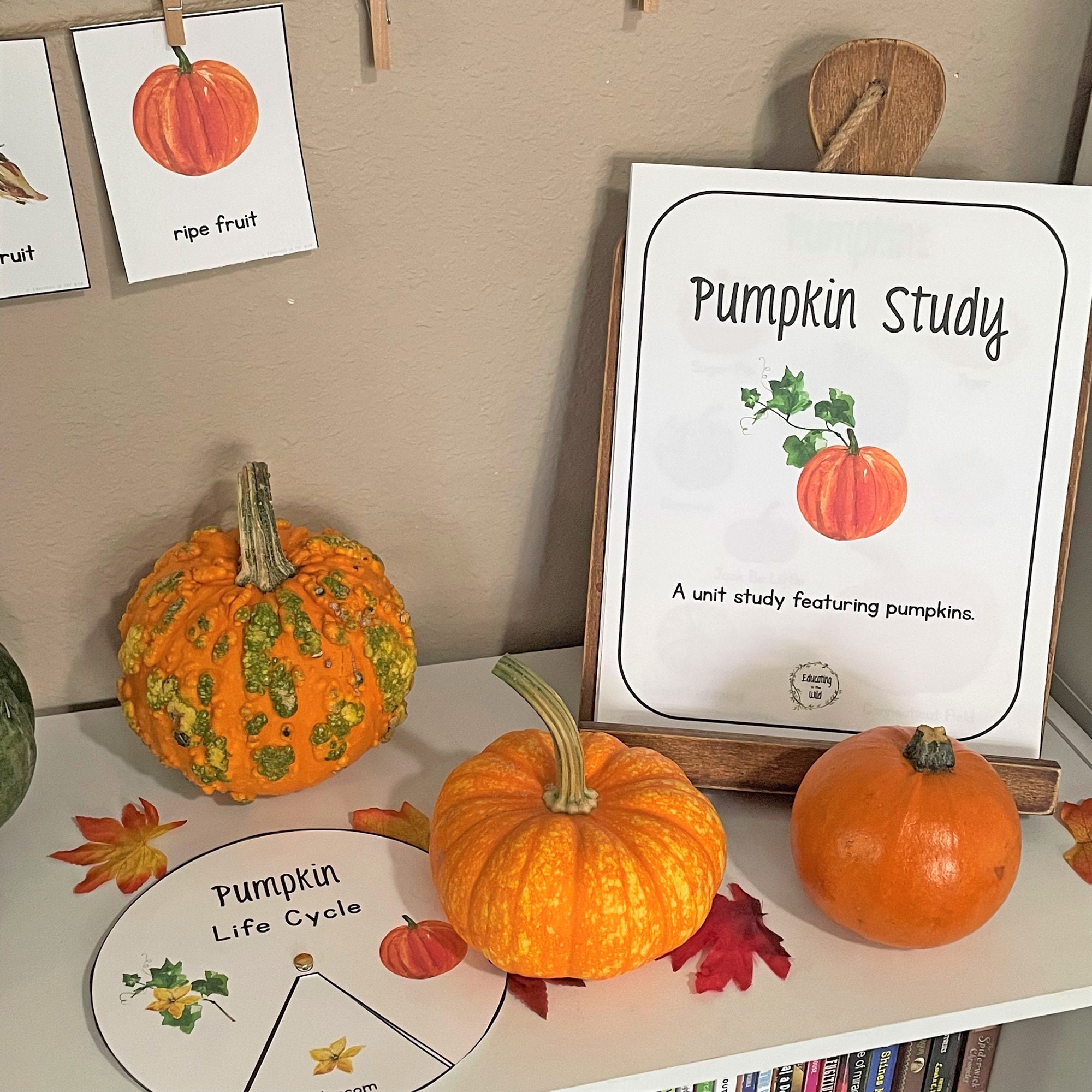 Pumpkin Unit Study - Etsy