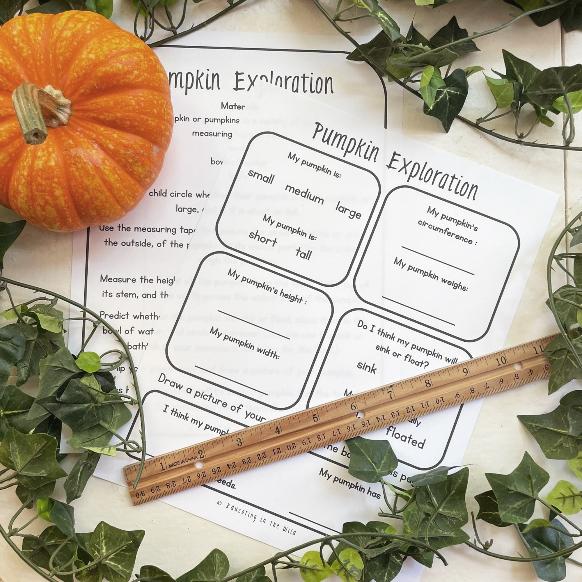 Pumpkin Unit Study - Etsy