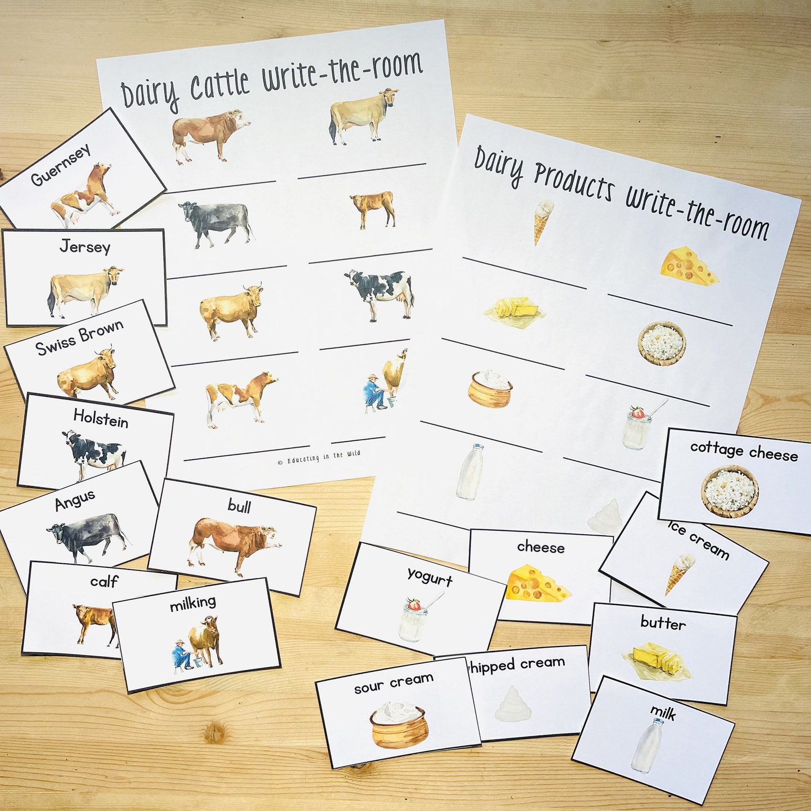 Dairy Cow Unit Study - Etsy