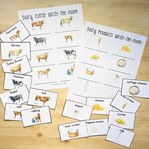 Dairy Cow Unit Study - Etsy