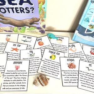 Coral Reef Unit Study - Etsy