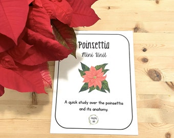 Poinsettia Unit Study, Poinsettia Anatomy and Life Cycle, Poinsettia ...