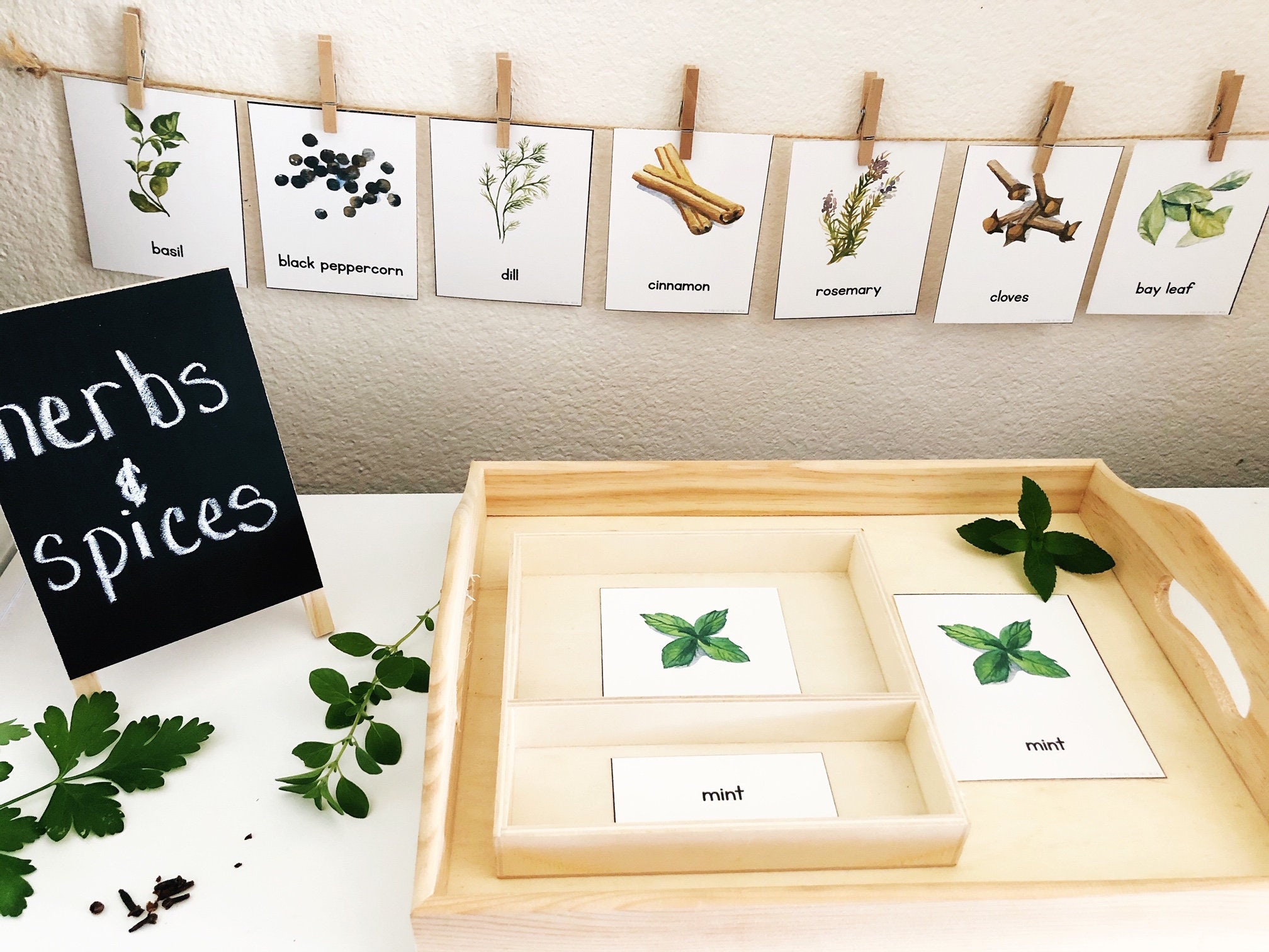 Watercolor Herbs and Spices 3 Part Cards - Etsy