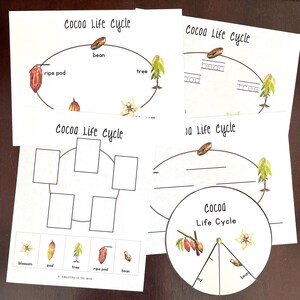 Chocolate Unit Study - Etsy