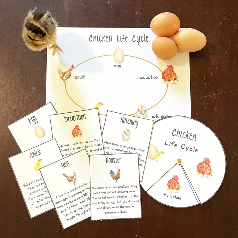 Farm Unit Study Bundle - Etsy