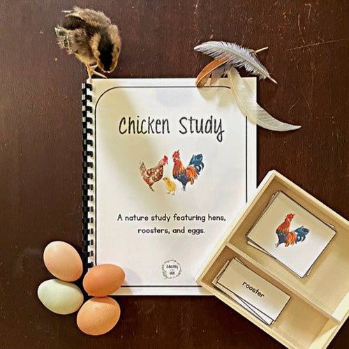 Chicken Unit Study - Etsy