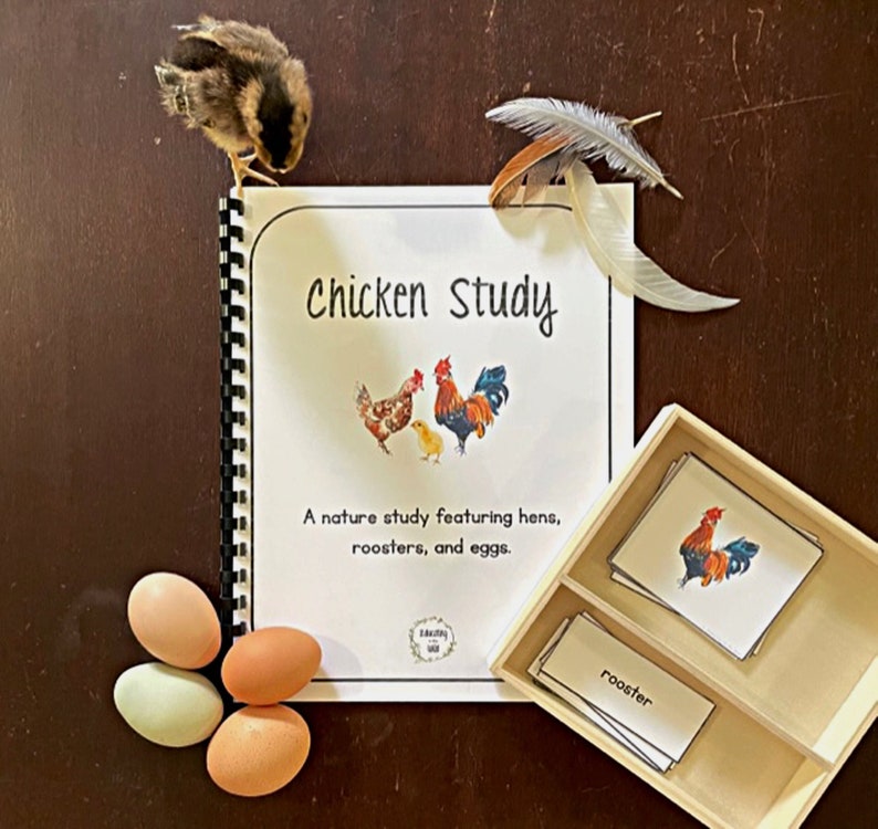 Chicken Unit Study - Etsy