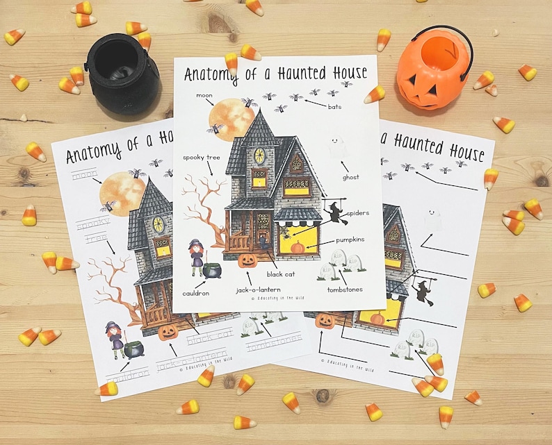 Halloween Unit Study and Activities - Etsy