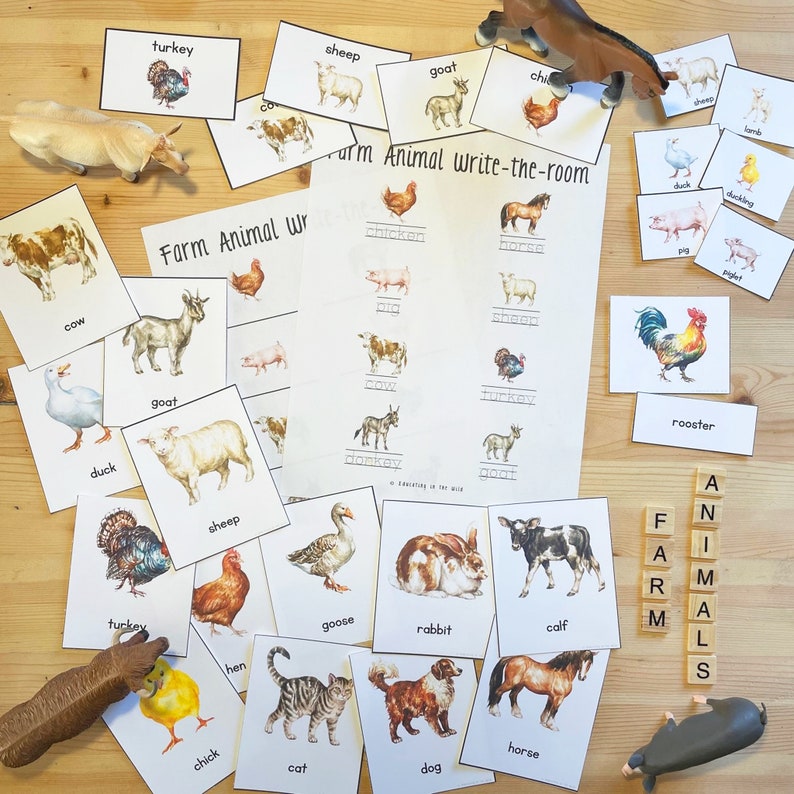 Farm Unit Study Bundle - Etsy