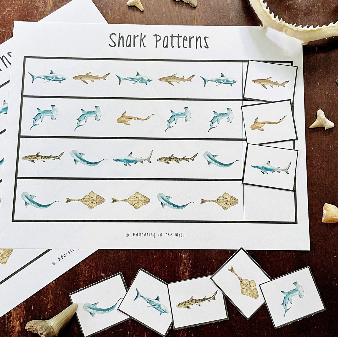 Shark Unit Study - Etsy