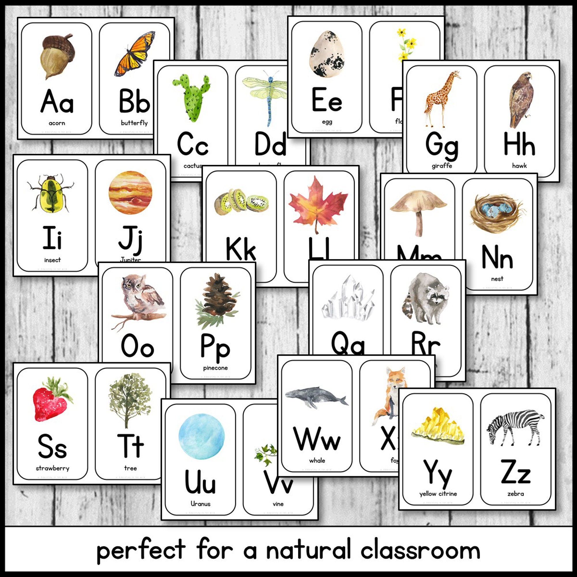 Watercolor Nature Alphabet Cards - Etsy