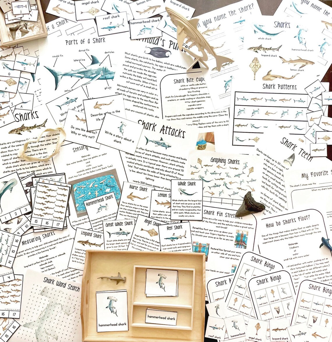 Shark Unit Study - Etsy