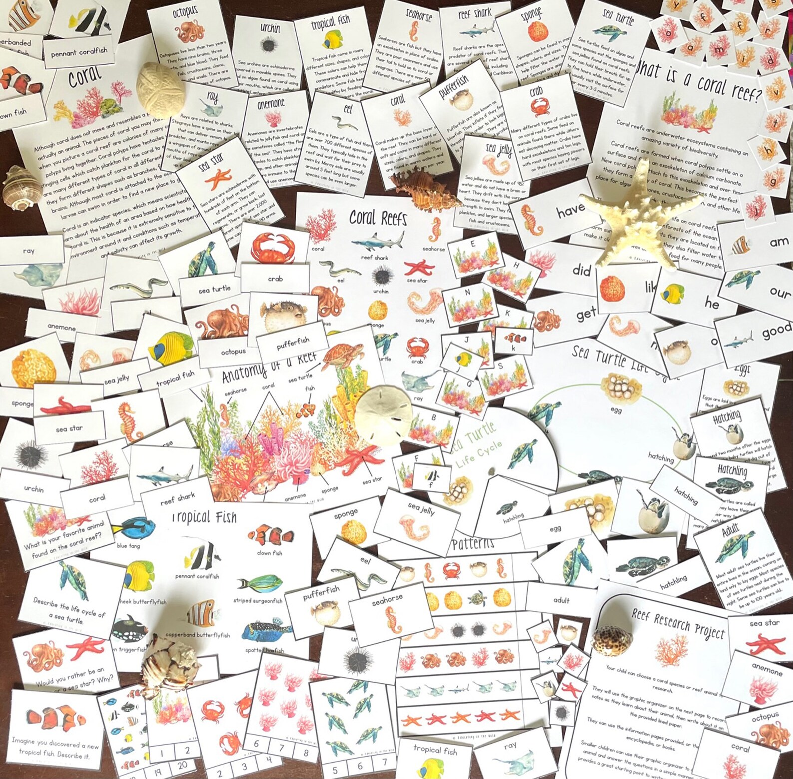 Coral Reef Unit Study - Etsy