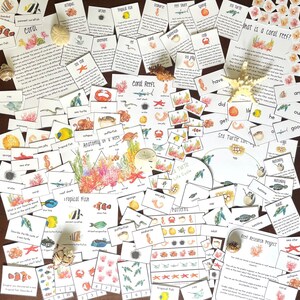 Coral Reef Unit Study - Etsy