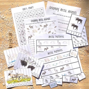 Arctic Unit Study - Etsy