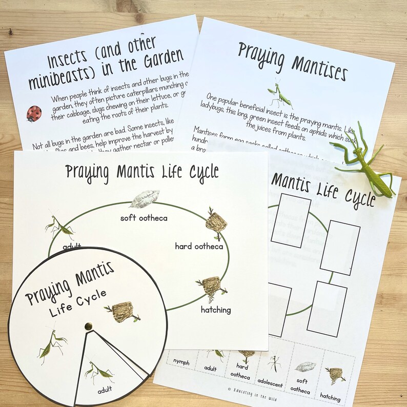 Garden Unit Study - Etsy