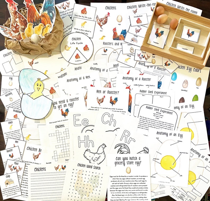 Chicken Unit Study - Etsy