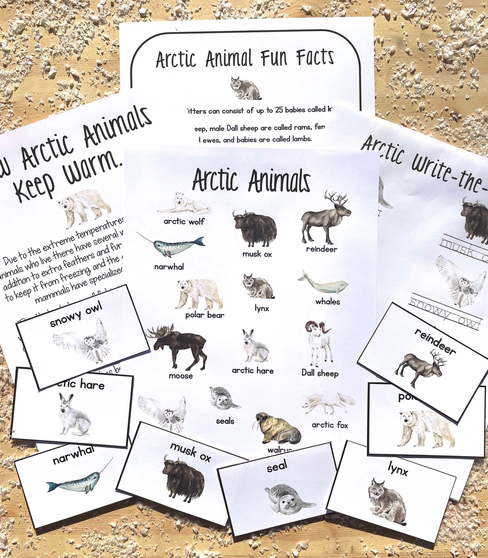 Arctic Unit Study - Etsy